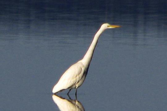 Campground Details - Goose Lake State Recreation Area, OR - Oregon ...