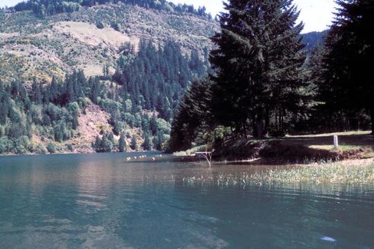 Campground Details - Fall Creek State Recreation Area, OR - Oregon ...