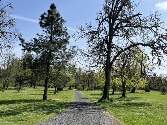 Campground Details - Jasper State Recreation Site, OR - Oregon State Parks